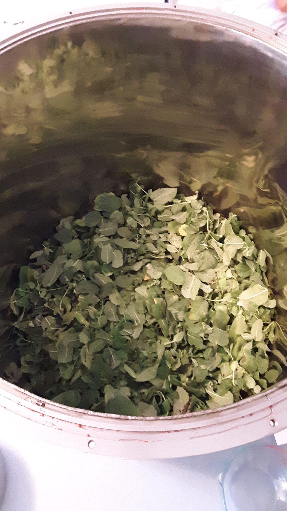 Fermenting Mint Wine - The Winery at the Long Shot Farm