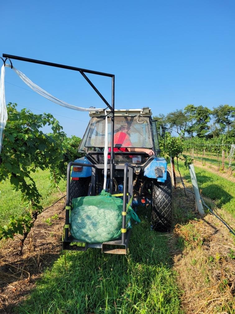 Bird Netting - The Winery at the Long Shot Farm