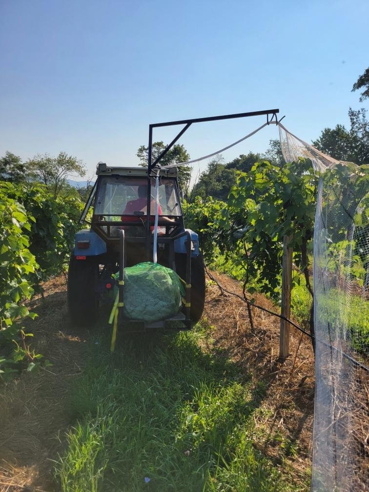 Bird Netting - The Winery at the Long Shot Farm